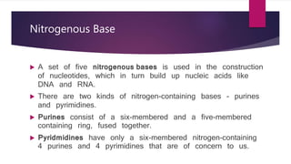 Nucleotides as source of energy-Biomolecules and bioenergetics | PPT