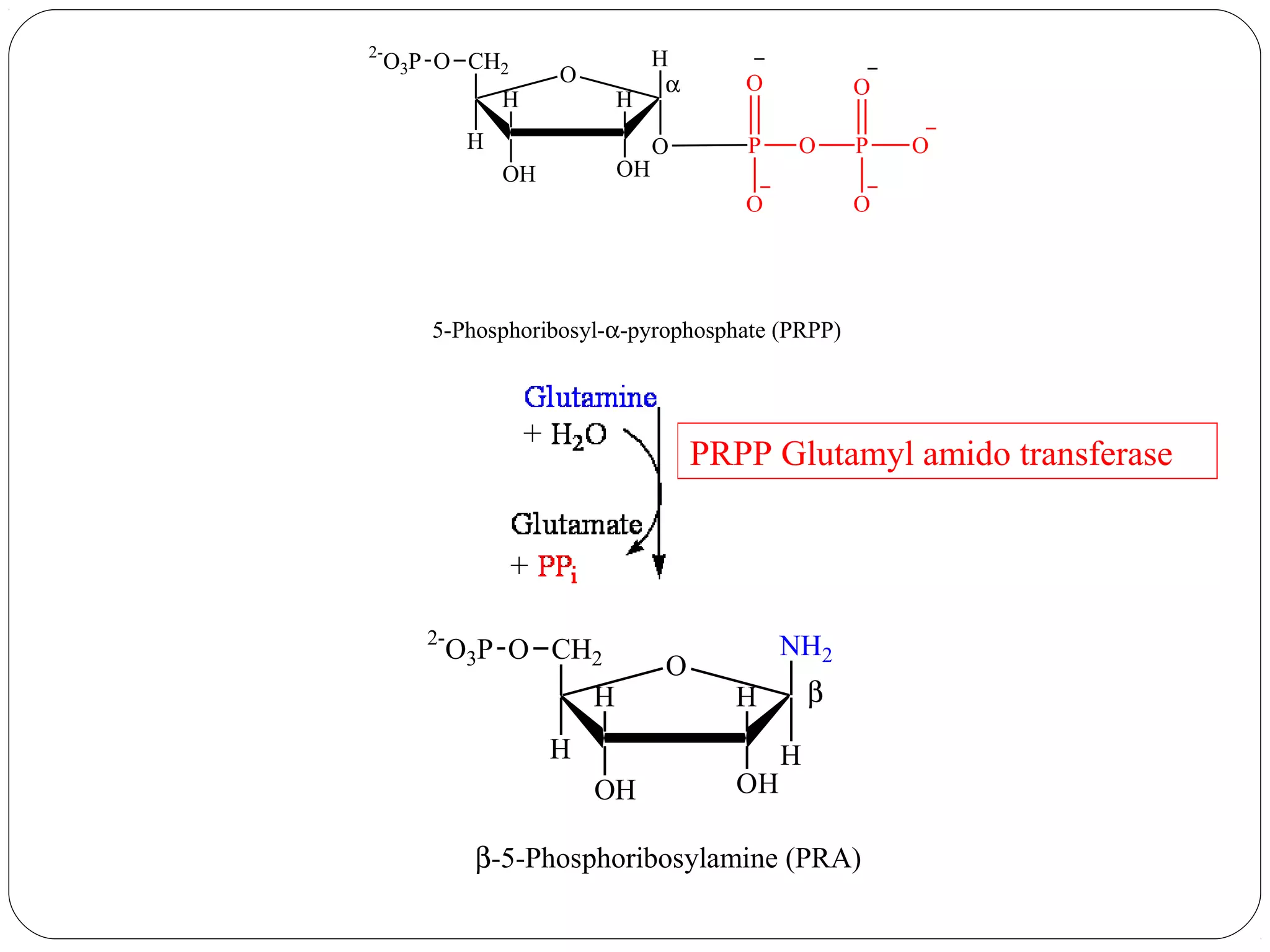 Nucleotides metabolism | PPT