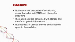 Nucleotides nucleosides | PPTX