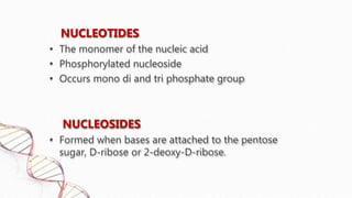 Nucleotides nucleosides | PPTX