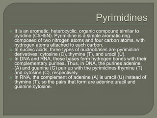 Nucleotides & their metabolism.pptx