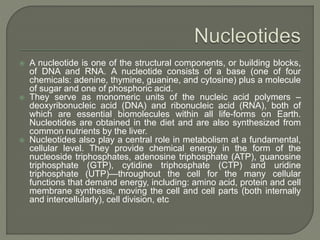 Nucleotides & their metabolism.pptx