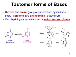 Nucleotide structure function dr m muzaffar mir | PPTX