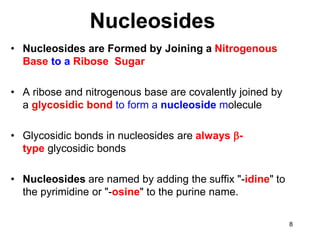 Nucleotide structure function dr m muzaffar mir | PPT
