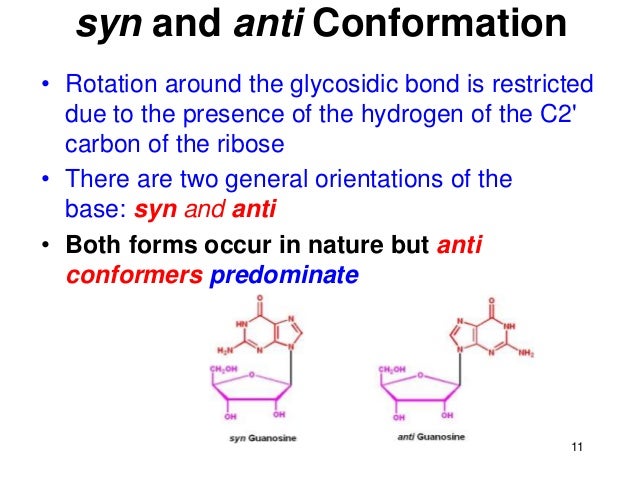 Nucleotide structure function dr m muzaffar mir