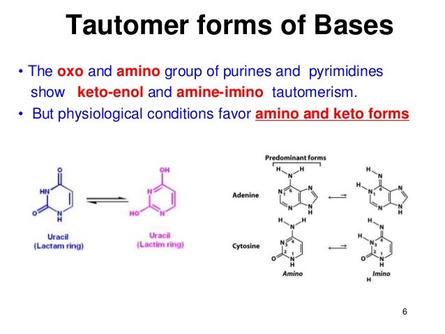 Nucleotide structure function dr m muzaffar mir