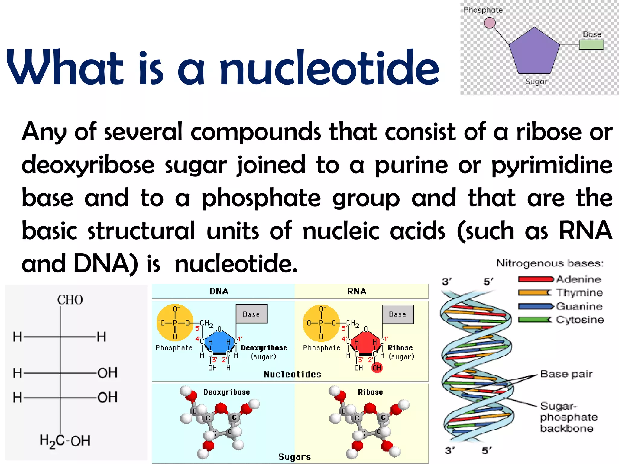 Nucleotide Synthesis | PDF