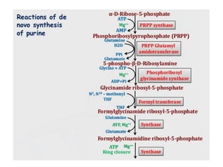 Nucleotide Synthesis | PDF
