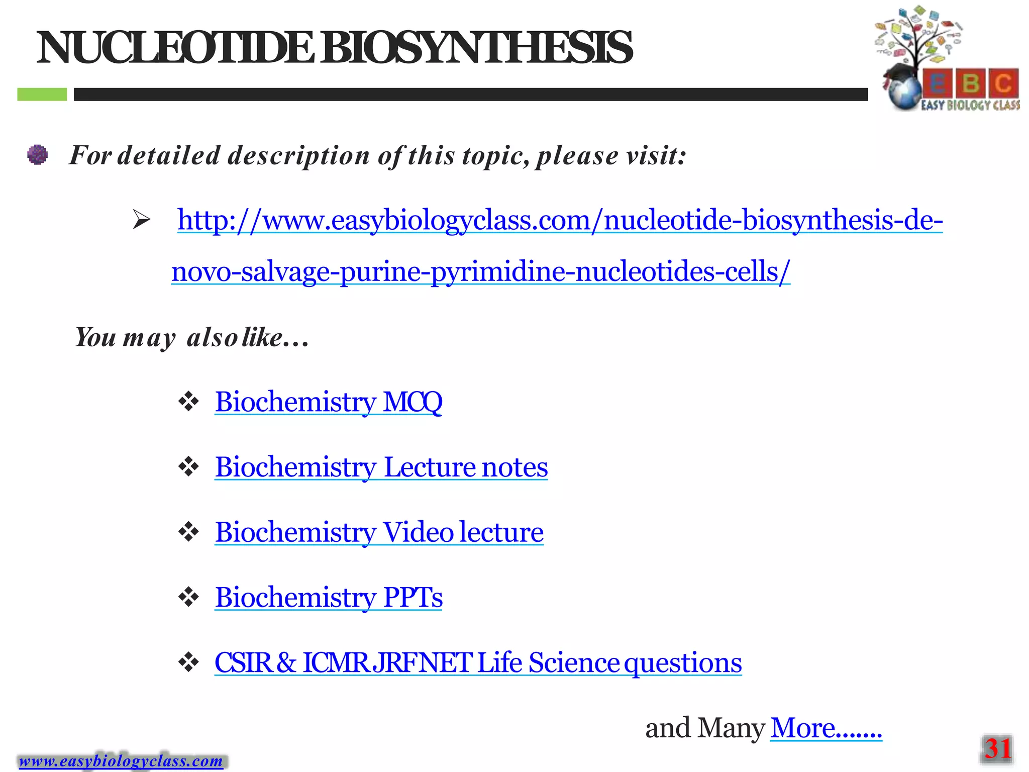 nucleotidesynthesis.ppt.pptx