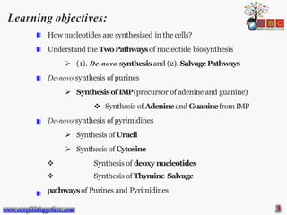 nucleotidesynthesis.ppt.pptx