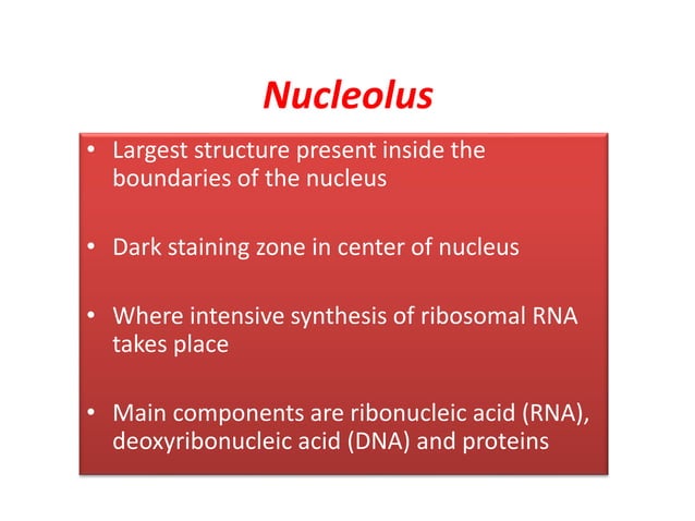 Nucleous | PPTX | Biological Sciences | Science