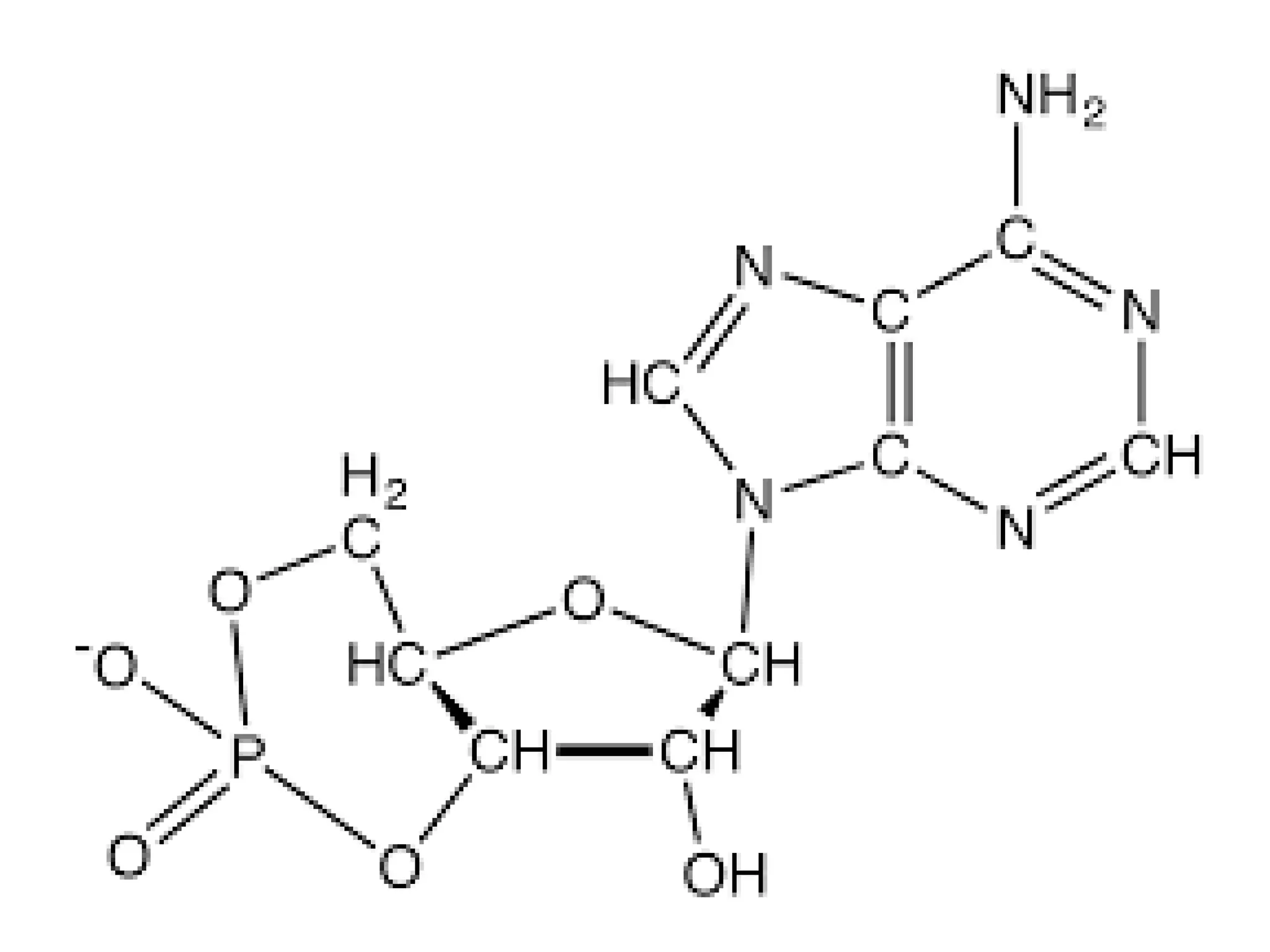 Nucletides and Nucleic acids.ppt