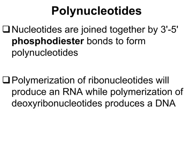 Nucletides and Nucleic acids.ppt