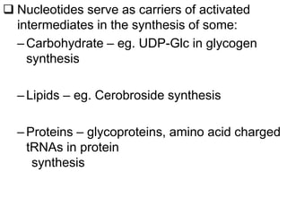 Nucletides and Nucleic acids.ppt
