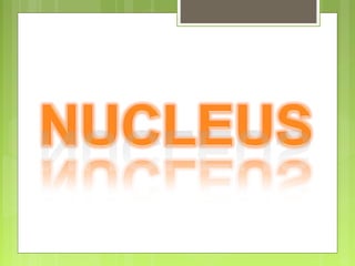 The Nucleus | PPT