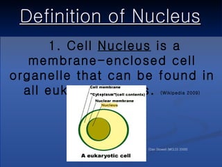 Nucleus Ppt | PPT