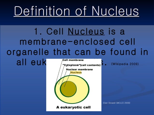 Nucleus Ppt | PPT