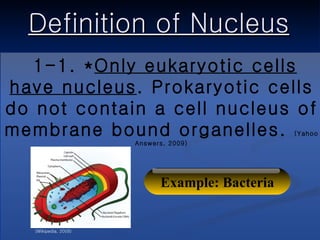 Nucleus Ppt | PPT