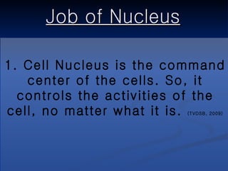 Nucleus Ppt | PPT
