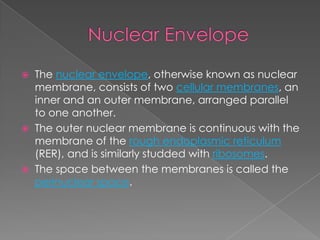 Nucleus | PPT