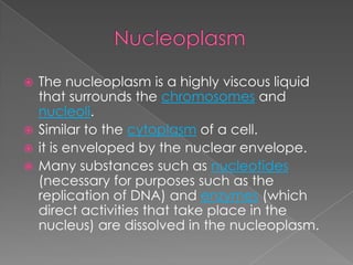 Nucleus | PPT