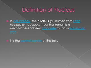 Nucleus | PPTX | Biological Sciences | Science