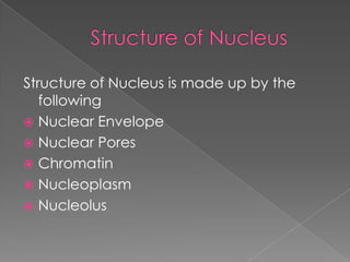 Nucleus | PPTX | Biological Sciences | Science