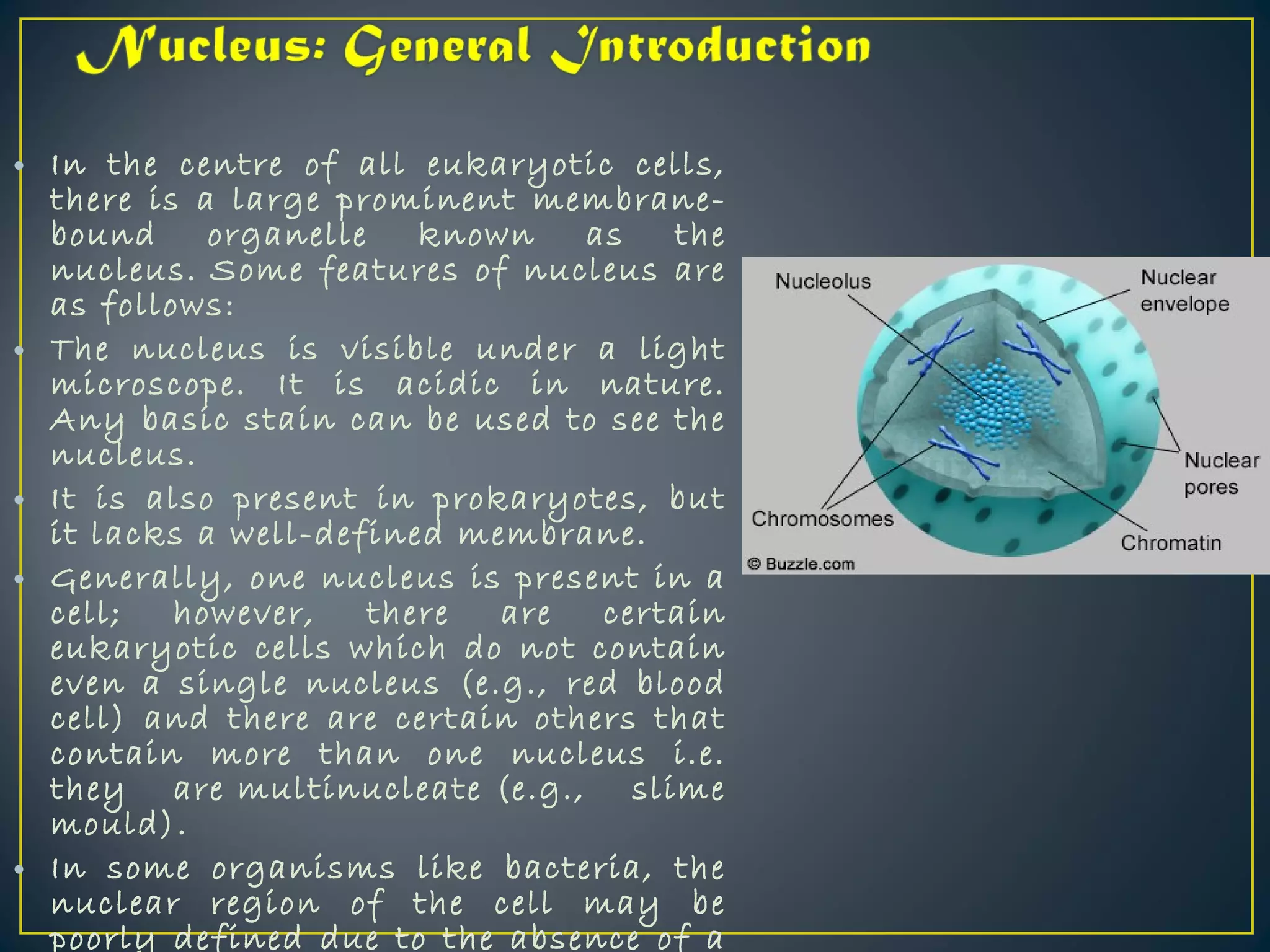 Nucleus | PPT