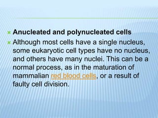 Nucleus | PPTX