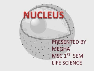 Nucleus | PPT