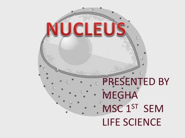 Nucleus | PPT