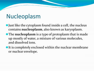 nucleuspptx | PPT