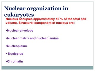 nucleus | PPT
