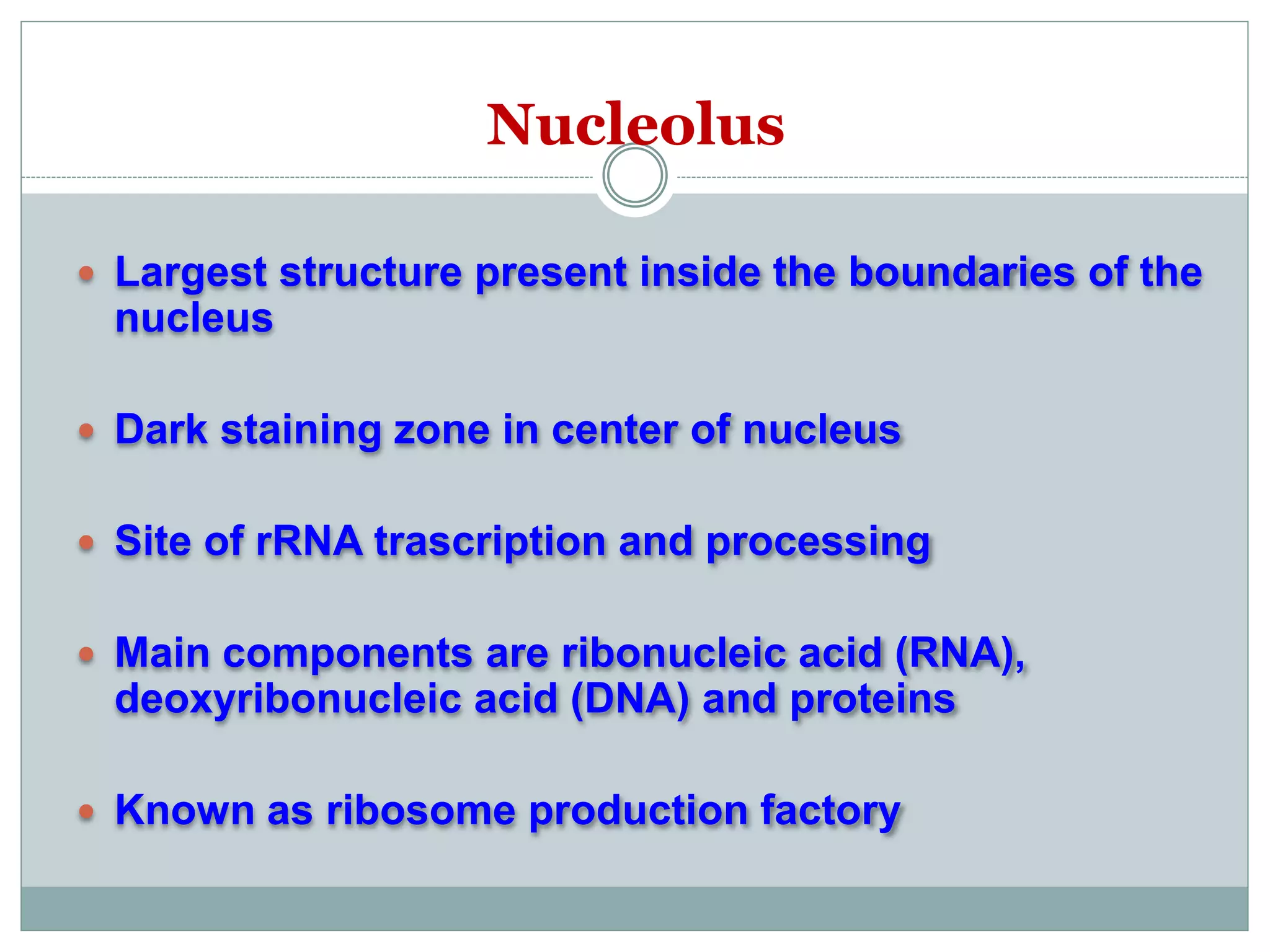 Nucleus | PPTX