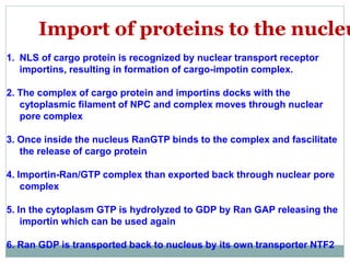 Nucleus | PPTX