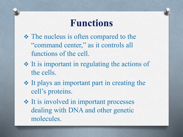 Nucleus | PPTX | Biological Sciences | Science