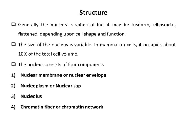 Nucleus | PPT | Free Download