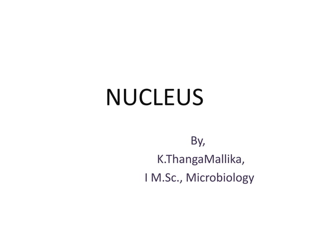 Nucleus | PPTX | Biological Sciences | Science