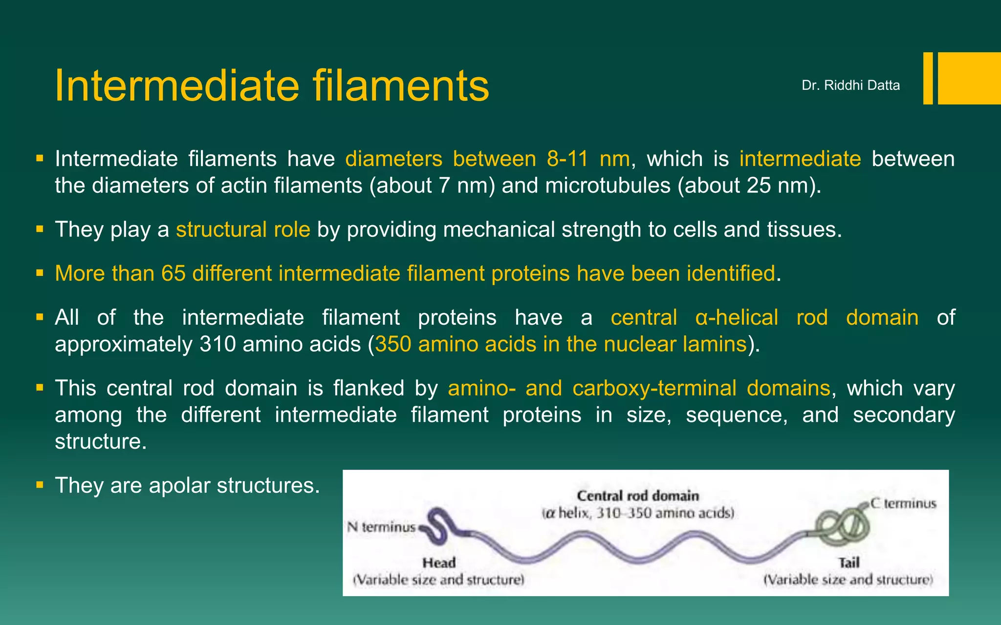 Exploring the nucleus | PPTX
