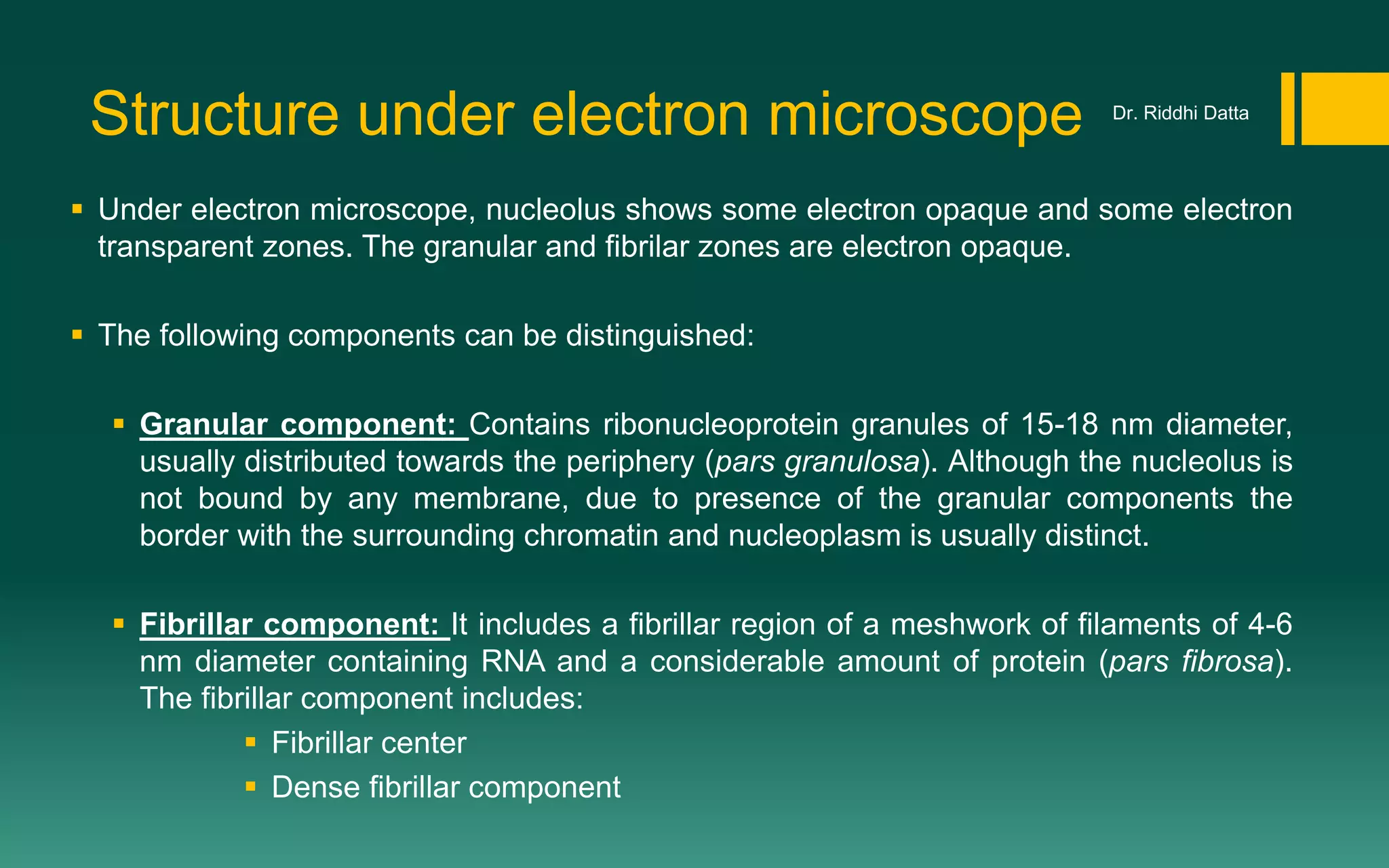 Exploring the nucleus | PPTX