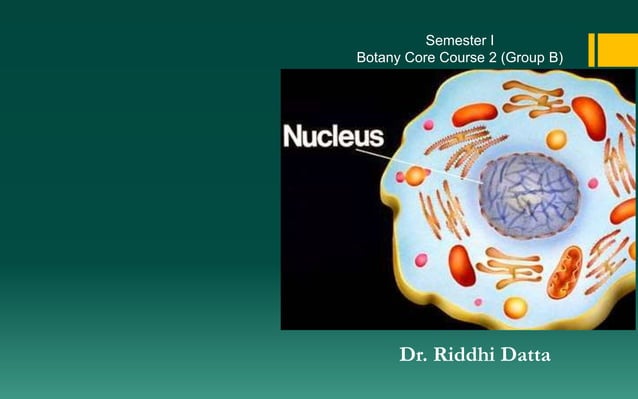 Exploring the nucleus | PPTX | Biological Sciences | Science