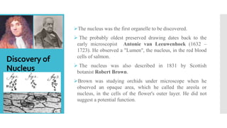 Nucleus | PPT