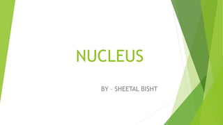 Nucleus | PPT