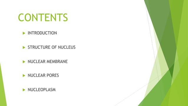 Nucleus | PPT