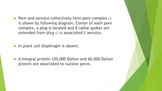Nucleus | PPTX