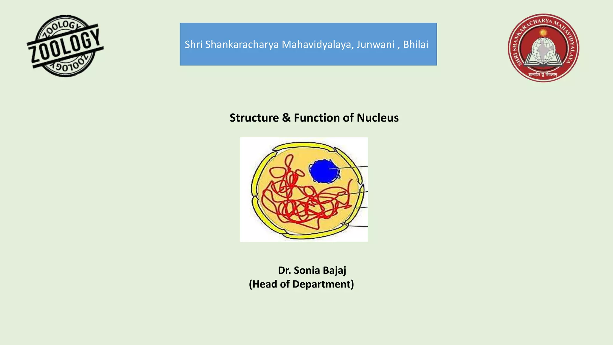 Nucleus | PPT