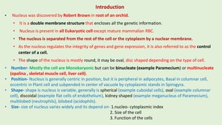 Nucleus | PPTX