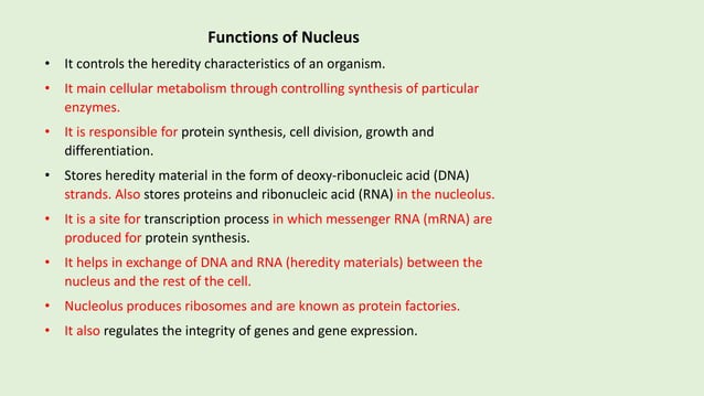 Nucleus | PPT