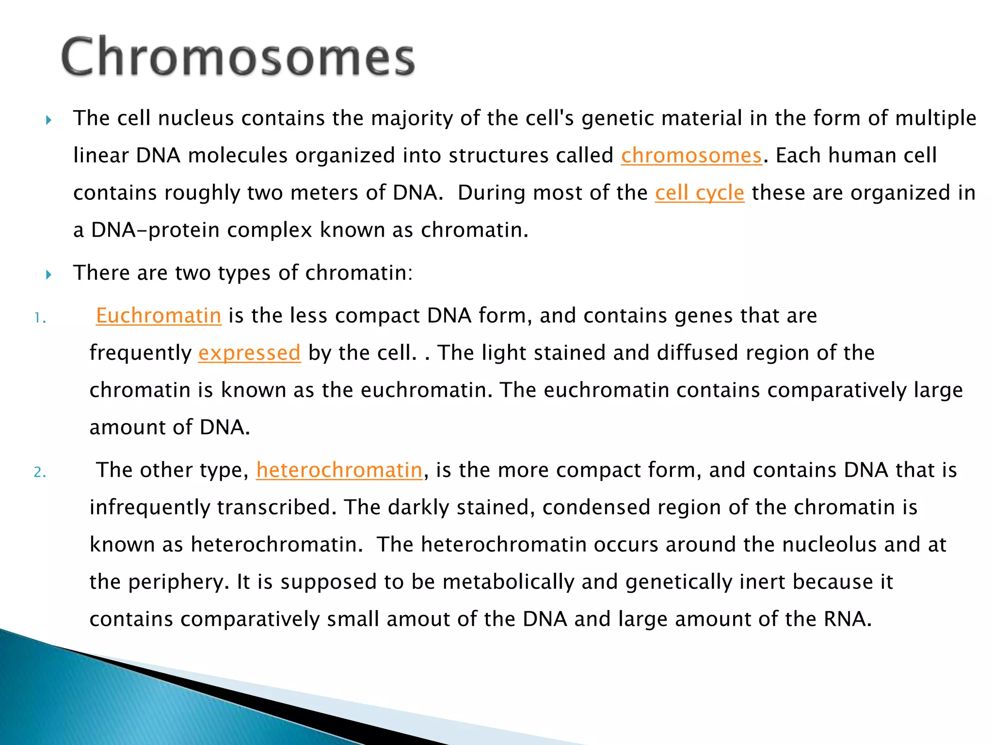 Nucleus-the heart of the cell-cellular organelles | PPT