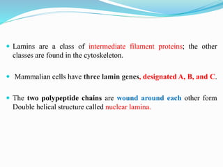 Nucleus structure and nuclear pore complex | PPTX
